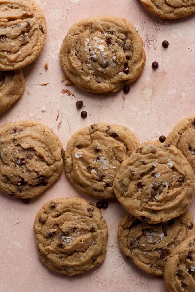 Chocolate Chip Cookies - Schmidty Bakes