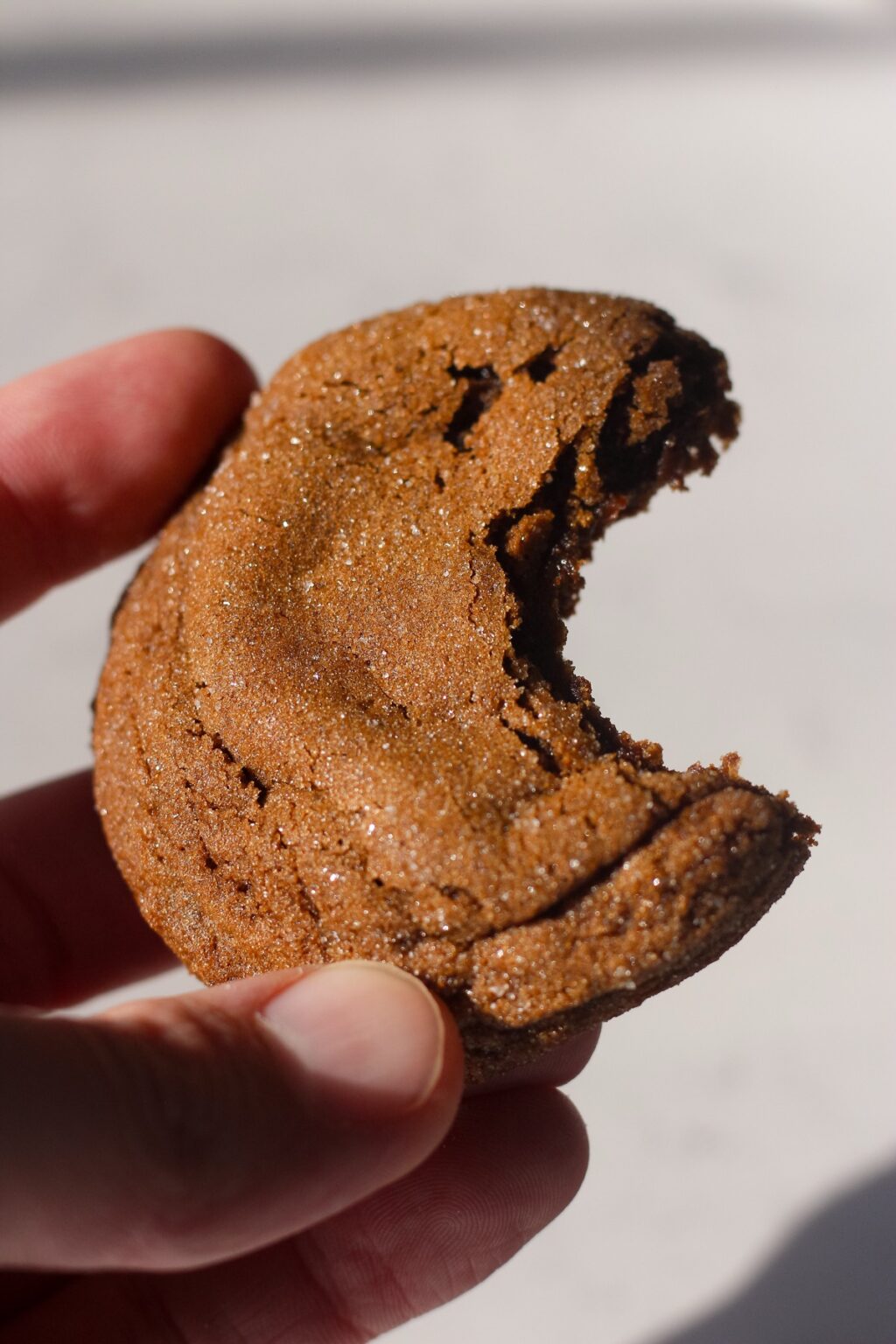 Chocolate Gingerbread Cookies - Schmidty Bakes