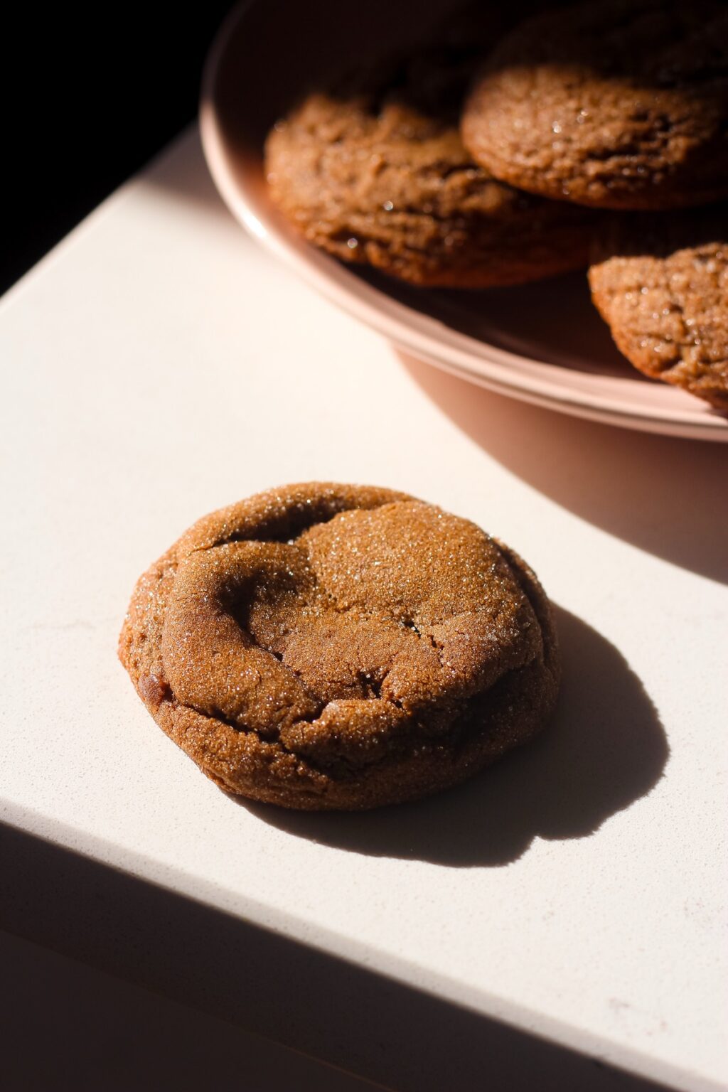Chocolate Gingerbread Cookies - Schmidty Bakes
