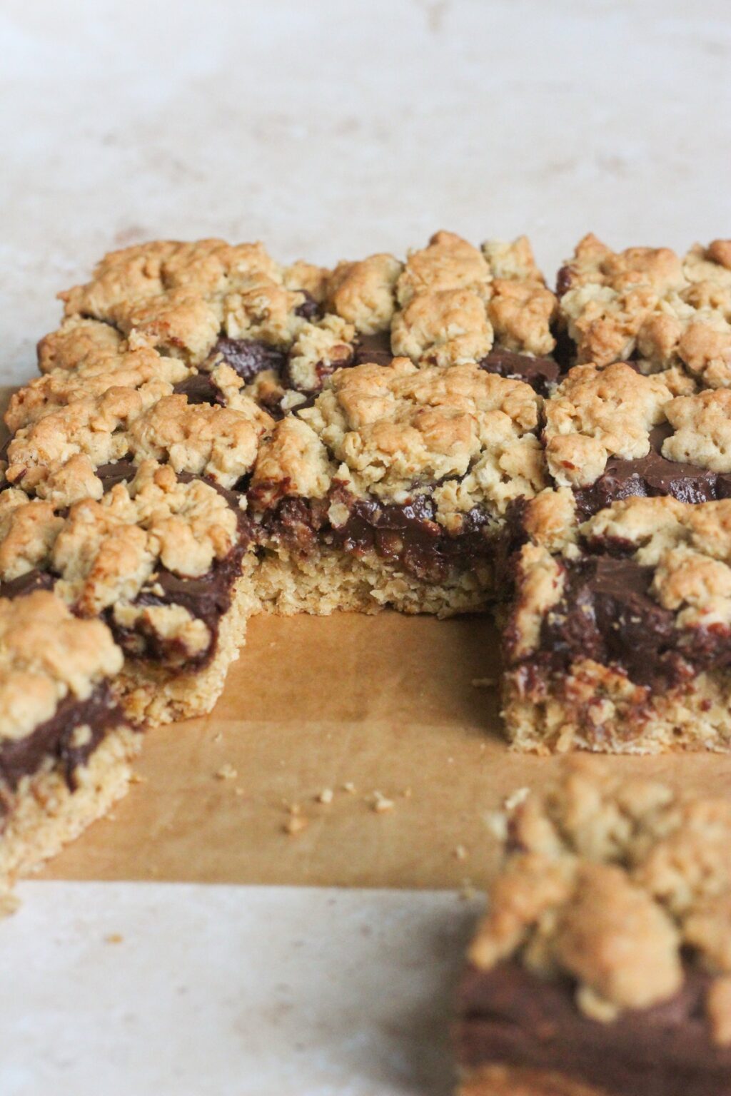 Chocolate Revel Bars: Fudgy Chocolate Dessert Bars - Schmidty Bakes